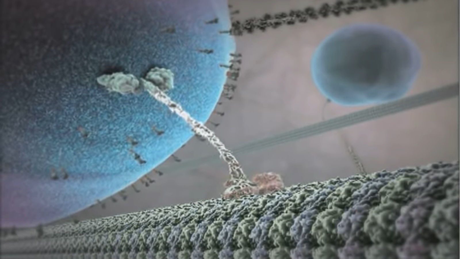 'The Inner Life of the Cell' - Een toonbeeld van Intelligent Design ...